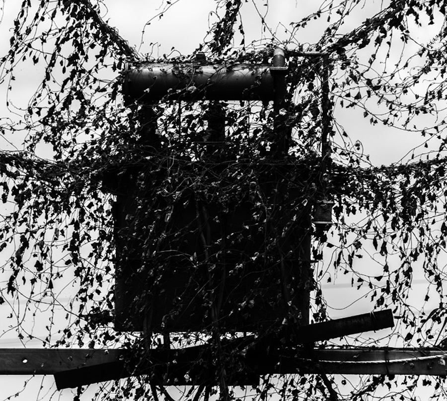 Gallery – Photomuse