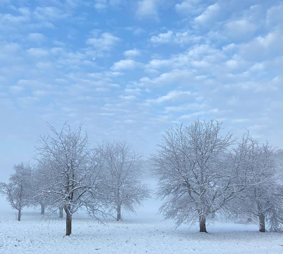 Gallery – Photomuse