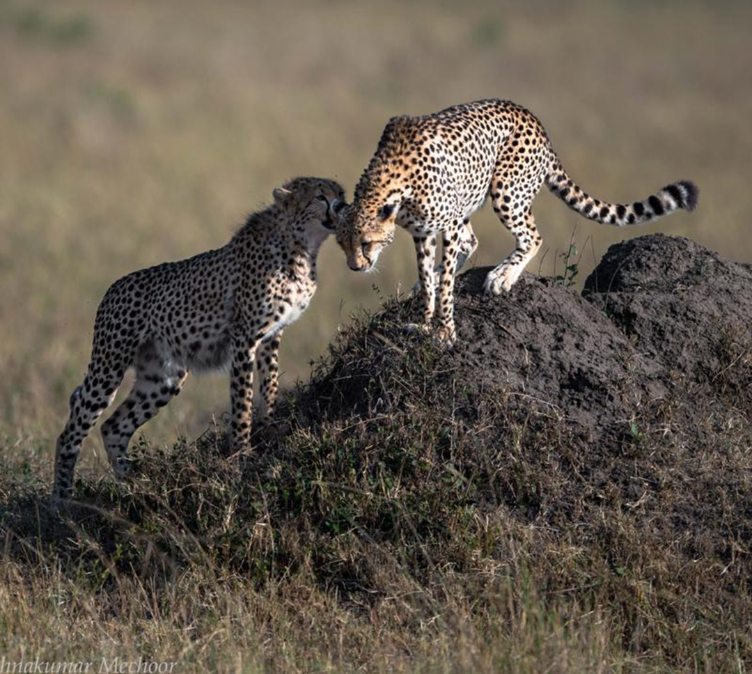 Gallery – Photomuse