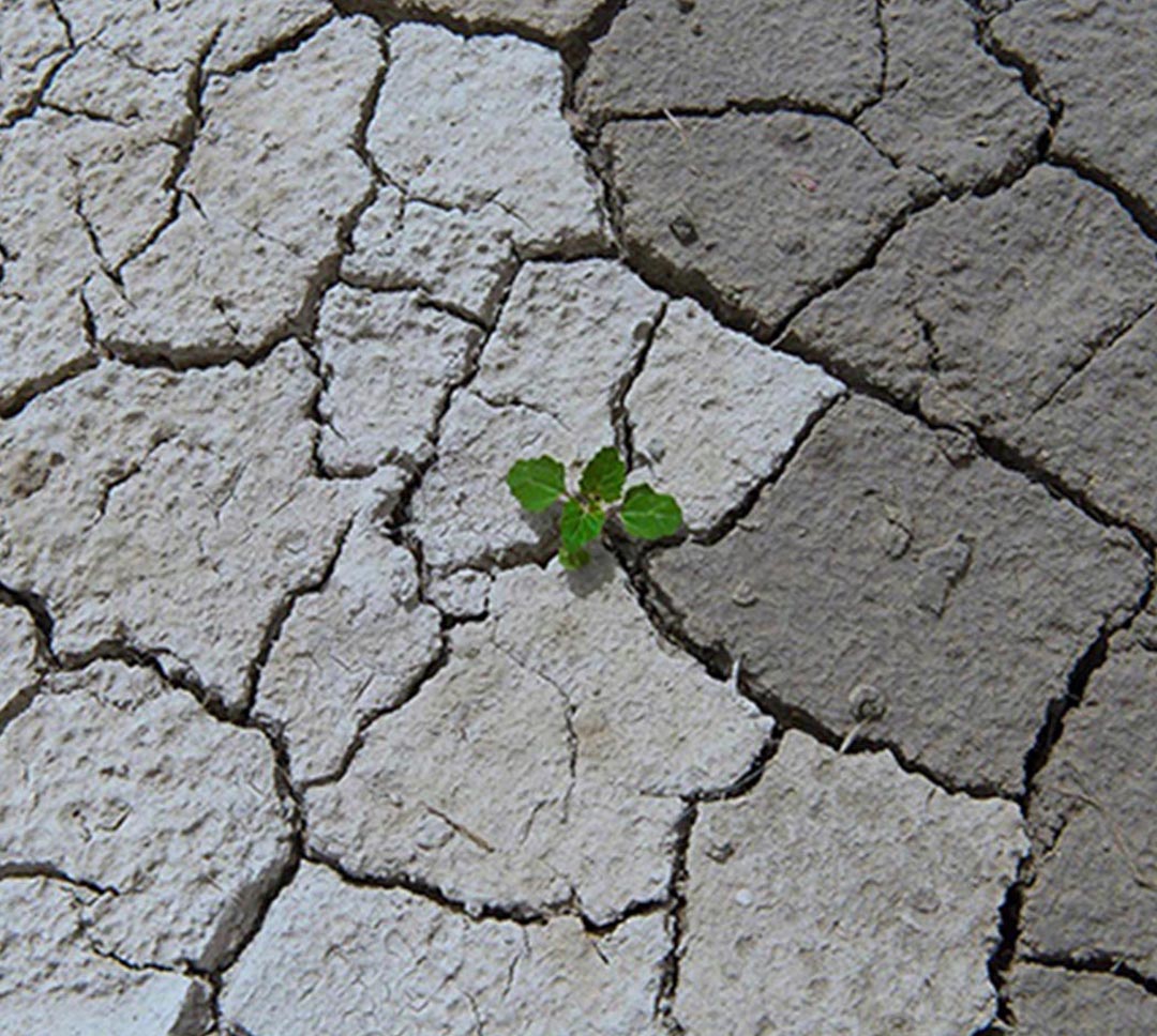 Gallery – Photomuse