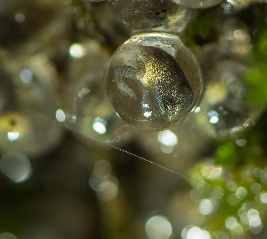 Gallery – Photomuse