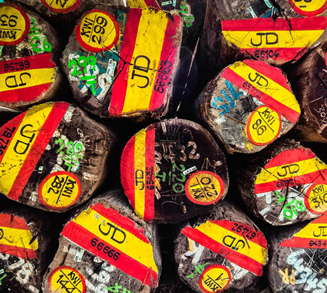 Gallery – Photomuse