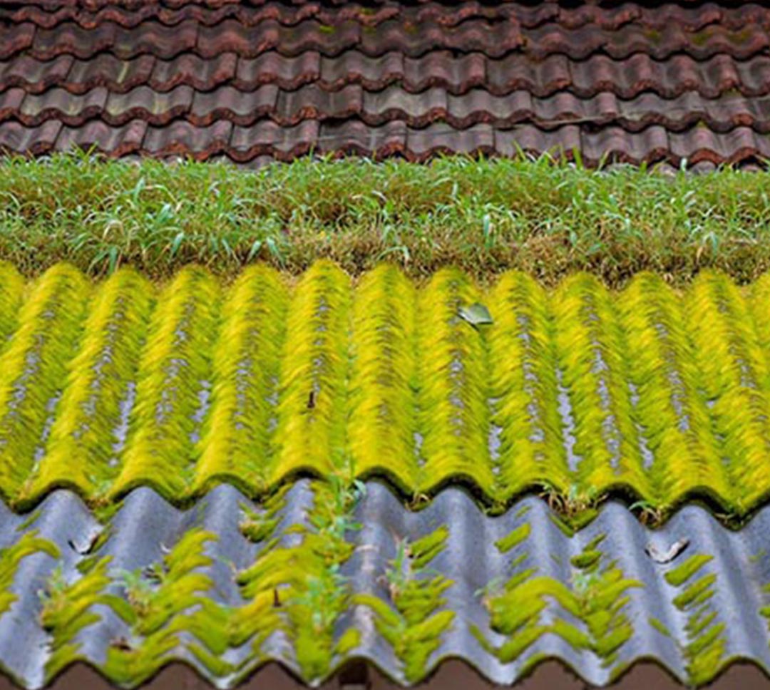 ‘Linearity’: Online Exhibition – Photomuse