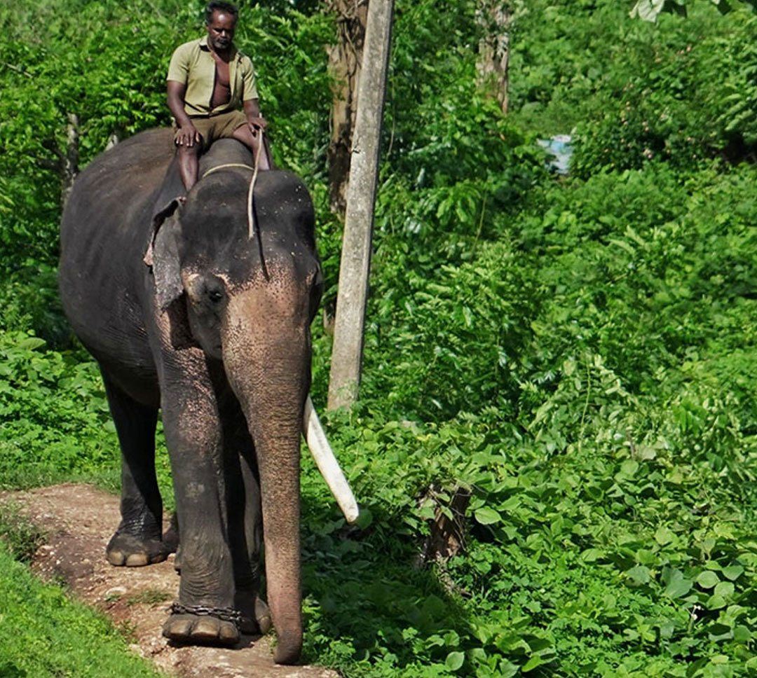 ‘Imperfection’: Online Exhibition – Photomuse