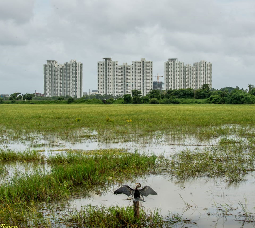 ‘New World, New Landscape’: Online Exhibition – Photomuse